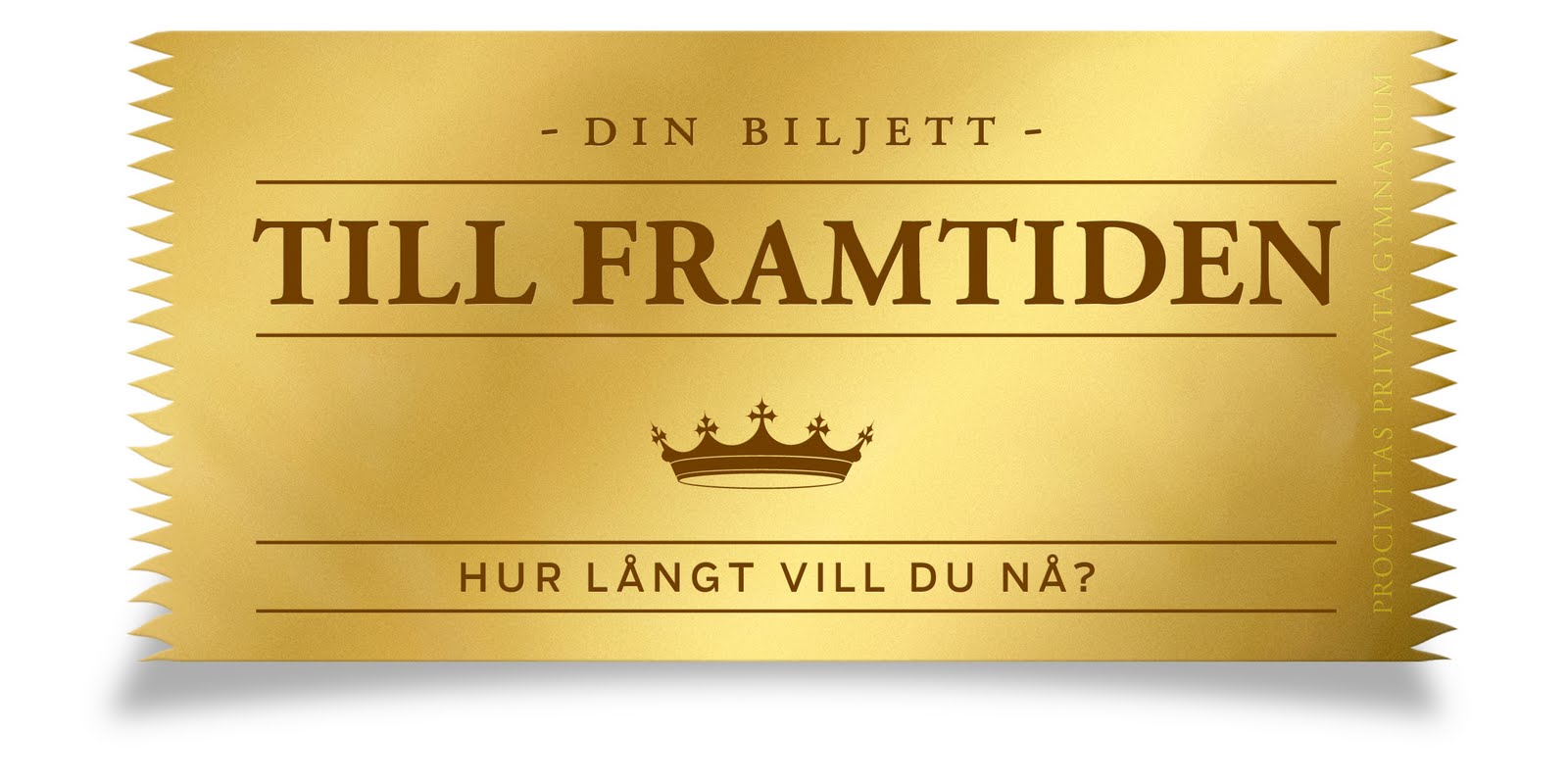 Mitt lilla krypin: Min framtid....